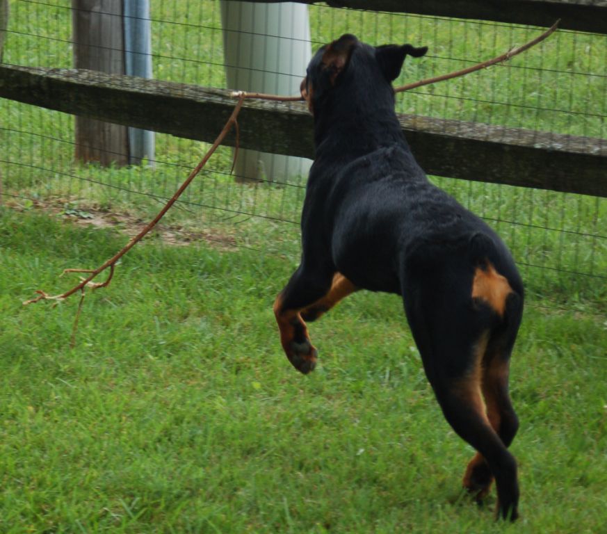 Stoneridge Fun Times With Axel